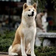 Steam Community :: Kitano Masato