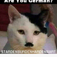 Steam Community :: [1942] Adolf CATler