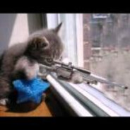 Steam Community :: YUCKIERCOMB