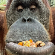 Steam Community :: LOCKED IN FIMOZ