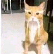 Steam Community :: señor beetdown