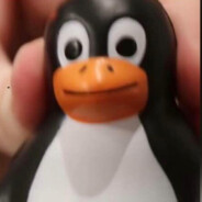 Steam Community :: ginger penguin