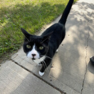 Steam Community :: Sheldon Humphrey