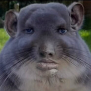 Steam Community :: jibler