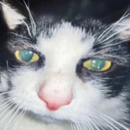 Steam Community :: Lorelius Hogglefart