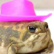 Steam Community :: Sapito Gaming