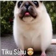 Steam Community :: Tiku Sahu