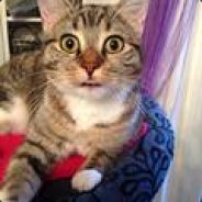 Steam Community :: thalk