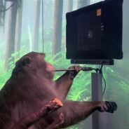 Steam Community :: SB