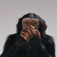 Steam Community :: sasd_kk