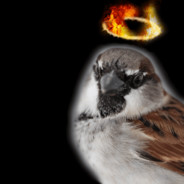 Steam Community :: Holy sparrow