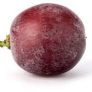 Steam Community :: ☭grape☭