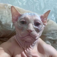 Steam Community :: prepucio lopez