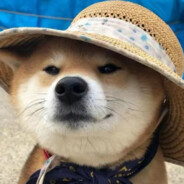 Steam Community :: Ah Chang