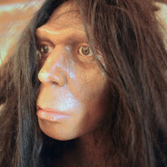 Hellcase - your favorite CS:GO case website | New and free CSGO skins