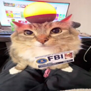 Steam Community :: cat_cookise