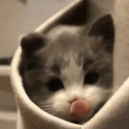 Steam Community :: Tribemember 123