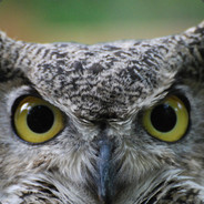 Steam Community :: Nuclear_Shadow