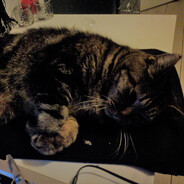 Steam Community :: Silver_Val