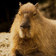 Steam Community :: Capybara