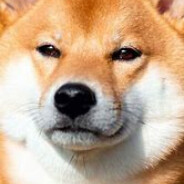 Steam Community :: Raptoid?