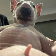 Steam Community :: ricky