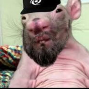 Steam Community :: Group :: ..RATS