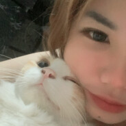 Steam Community :: NAMPUNCH