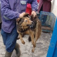 Steam Community :: FentBob