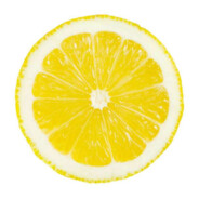 Steam Community :: Citrus