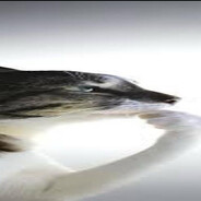 Steam Community :: Jiggerboo