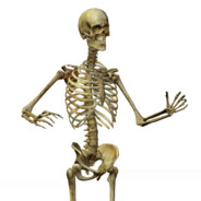 Steam Community :: Flacow