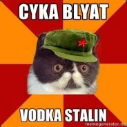 Steam Community :: Group :: Cyka Blyat Vodka Stalin.