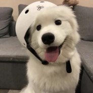 Steam Community :: dev1ce