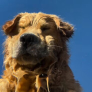 Steam Community :: prog