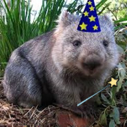 Steam Community :: The Magic Wombat
