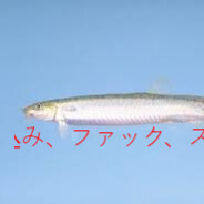 Steam Community :: Pond Loach