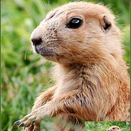 Steam Community :: SySliK_16