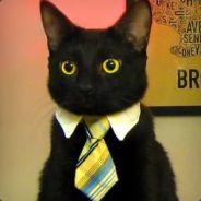 Steam Community :: Tie Cat
