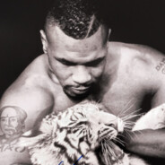 Steam Community :: fent enjoyer