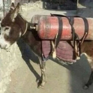 Steam Community :: blessed d1lion