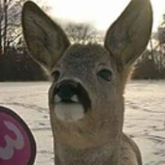 Steam Community :: T4_bee