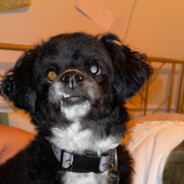 Steam Community :: butter