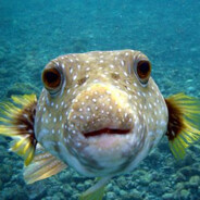 Steam Community :: pheesh