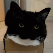 Steam Community :: rex