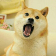 Steam Community :: DOGE