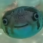 Steam Community :: Puffer fish♿