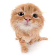 Steam Community :: Zezoro