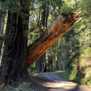 Semi-Pro Case | Open CS2 Cases on Hellcase