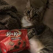 Steam Community :: kit katz